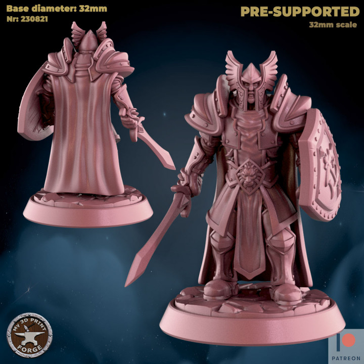 3D Printable Knight Captain Standing by My3DPrintForge