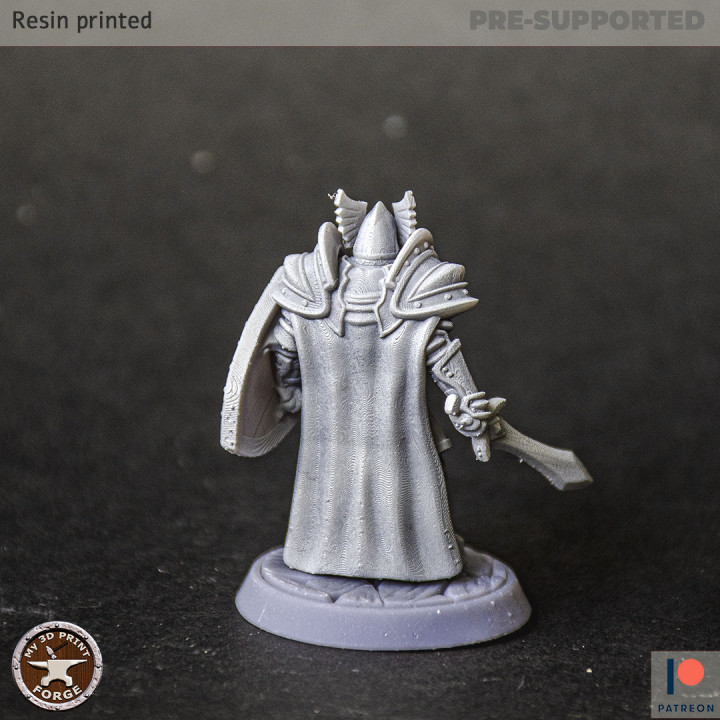 3D Printable Knight Captain Standing by My3DPrintForge
