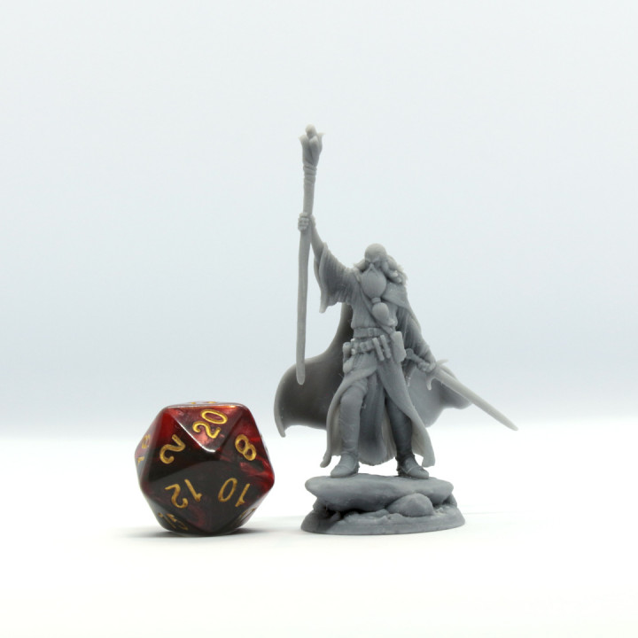 3D Printable Wizard 3 by clynche art