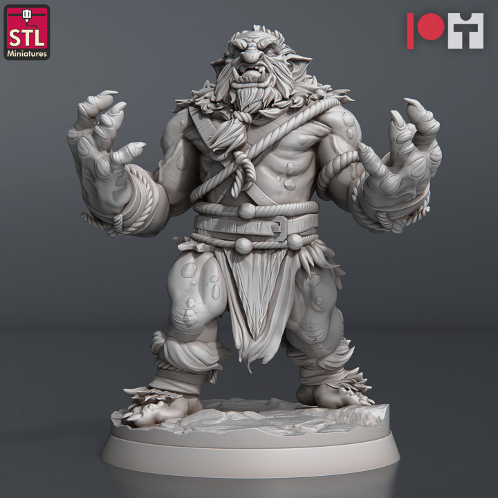 3D Printable Snow Trolls Set by STL Miniatures