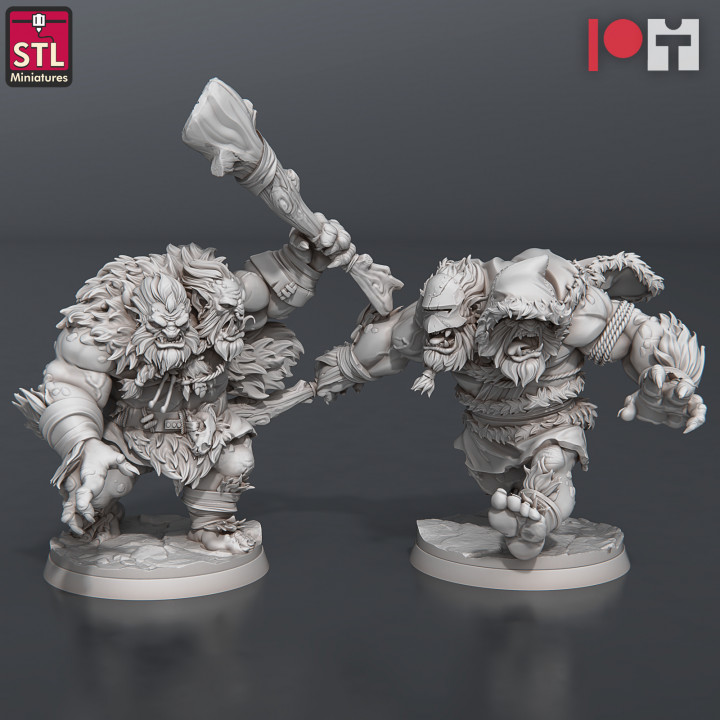 3D Printable Two Headed Show Troll Set by STL Miniatures