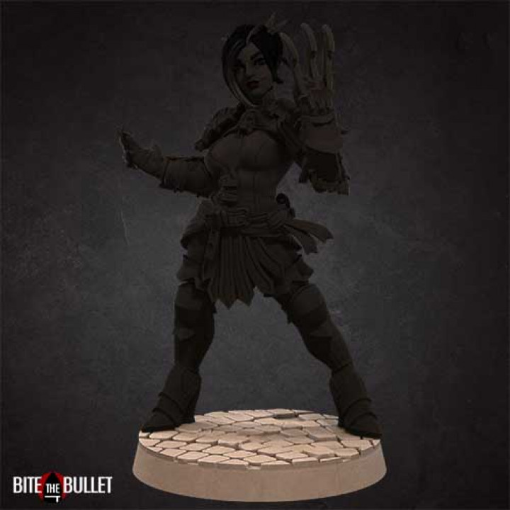 3D Printable Hero Assassin (2 Versions) by Bite the Bullet