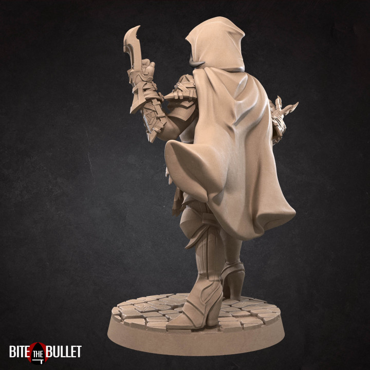 3D Printable Hero Assassin (2 Versions) by Bite the Bullet
