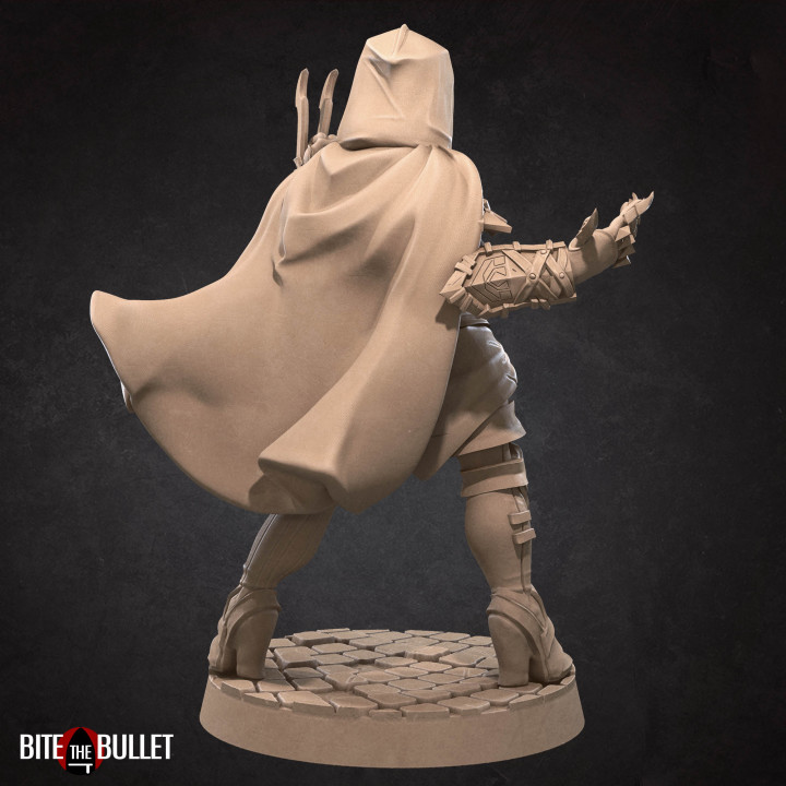 3D Printable Hero Assassin (2 Versions) by Bite the Bullet