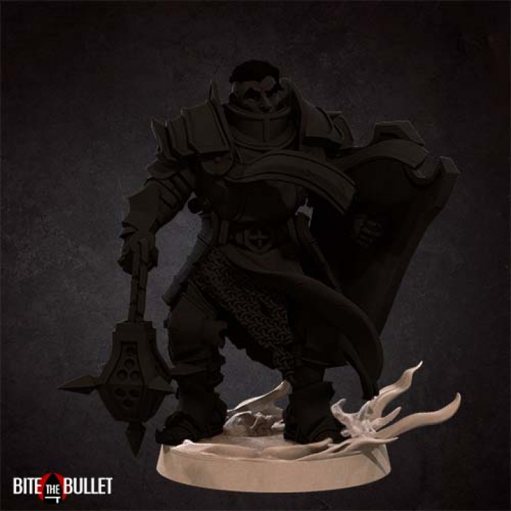 3D Printable Hero Crusader by Bite the Bullet