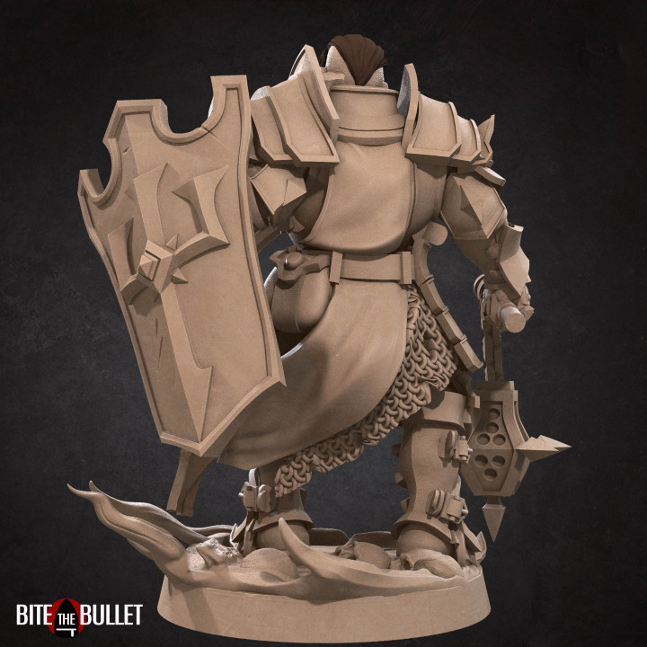 3D Printable Hero Crusader by Bite the Bullet
