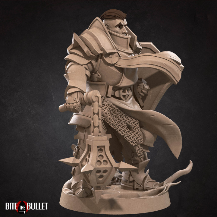 3D Printable Hero Crusader by Bite the Bullet