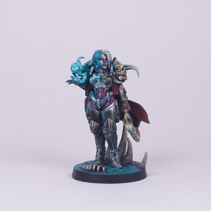 3D Printable Hero Necromancer Female (2 Versions) by Bite the Bullet
