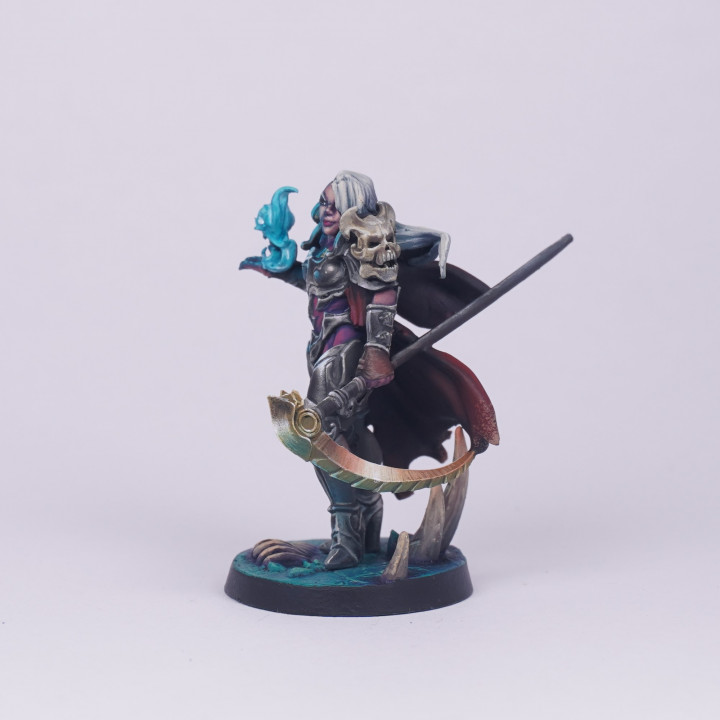 3D Printable Hero Necromancer Female (2 Versions) by Bite the Bullet