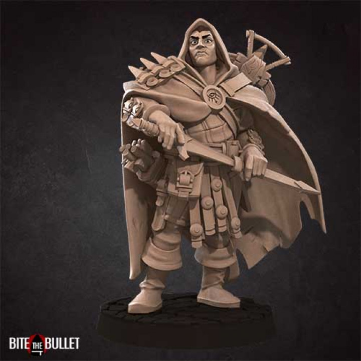 3D Printable Hero Rogue (2 Versions) by Bite the Bullet