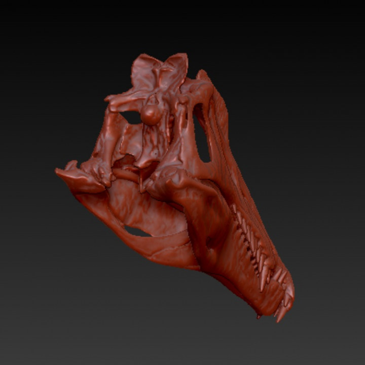 3D Printable Spinosaurus skull by Yue Gao