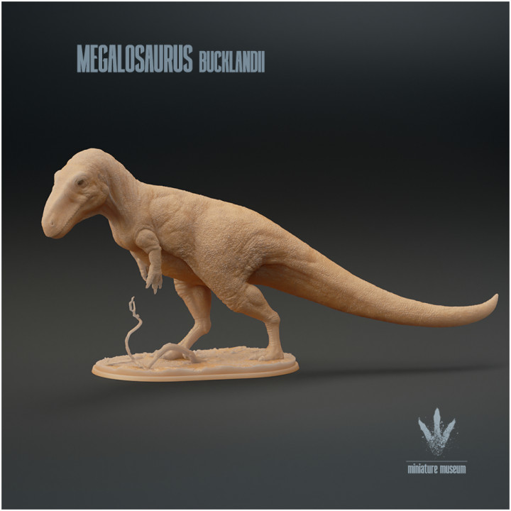 3D Printable Megalosaurus bucklandii : The First Dinosaur by Miniature ...