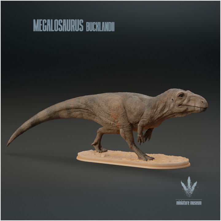 3D Printable Megalosaurus bucklandii : Running by Miniature Museum