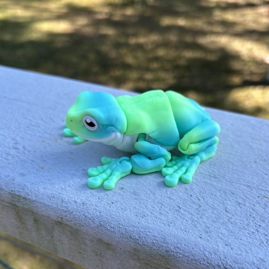 3D Printable Tree Frog, Articulated fidget, Print-In-Place Body, Snap ...