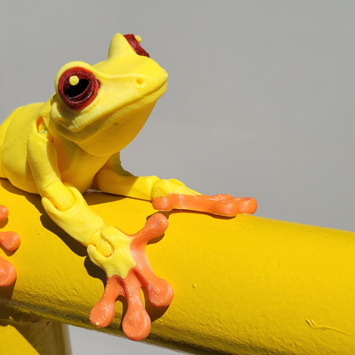 3D Print of Tree Frog, Articulated fidget, Print-In-Place Body, Snap ...