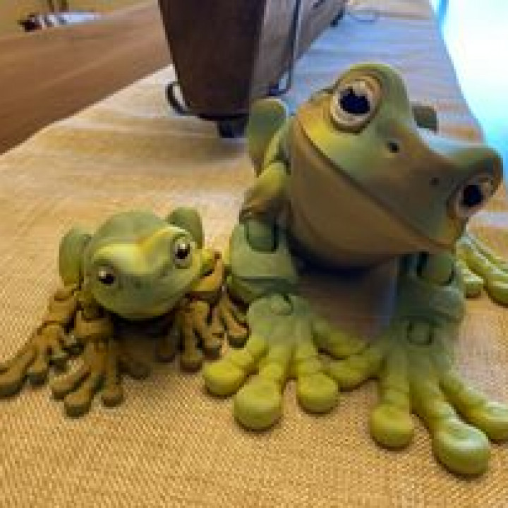 3D Print of Tree Frog, Articulated fidget, Print-In-Place Body, Snap ...