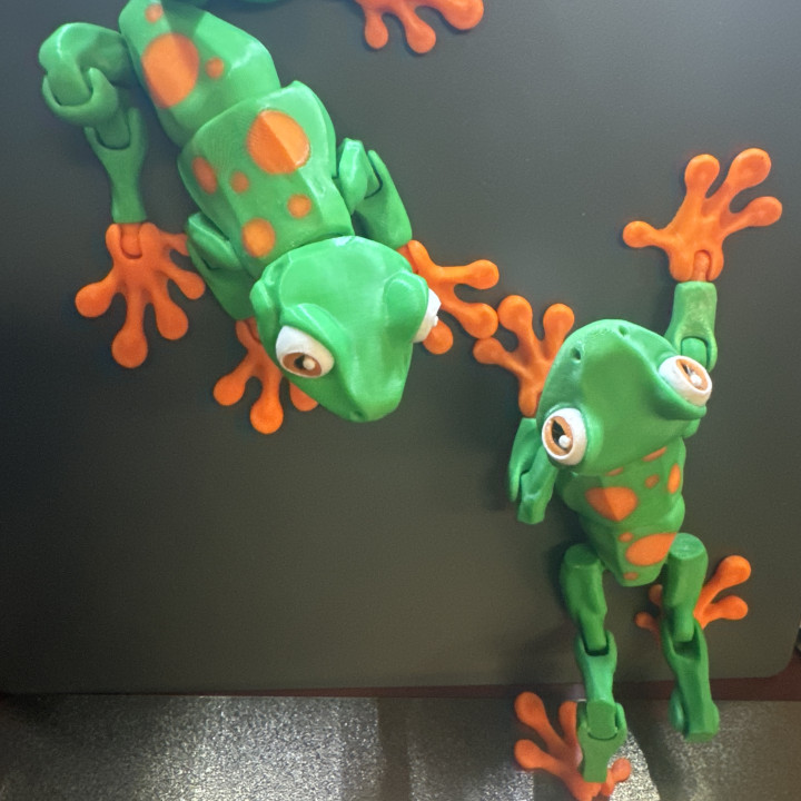3D Print of Tree Frog, Articulated fidget, Print-In-Place Body, Snap ...