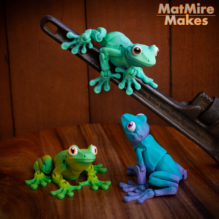 3D Printable Tree Frog, Articulated fidget, Print-In-Place Body, Snap ...