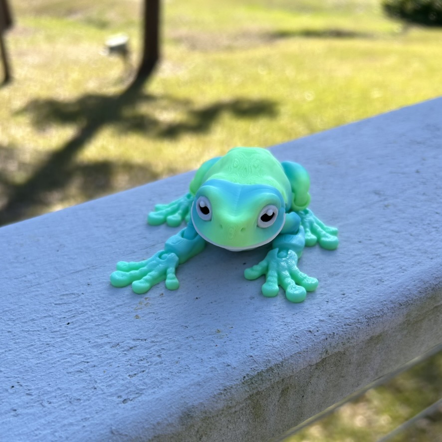 3D Printable Tree Frog, Articulated fidget, Print-In-Place Body, Snap ...