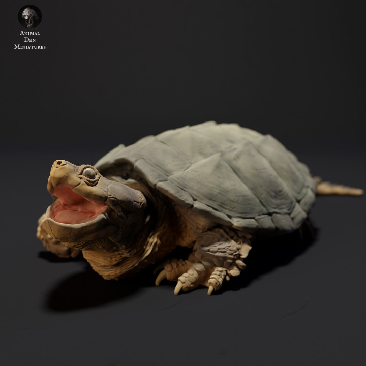 3D Printable Common Snapping Turtle Aggressive by Animal Den Miniatures