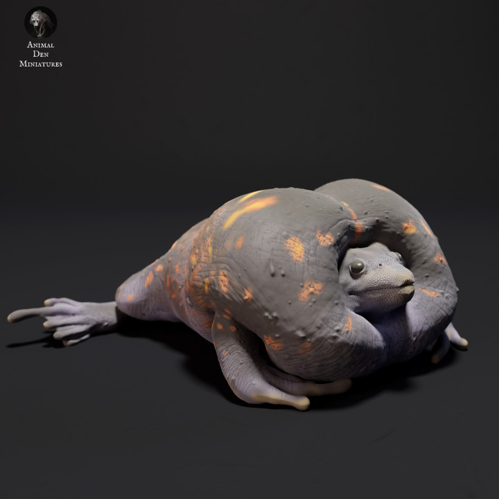 3D Printable Mexican Burrowing Toad Croak by Animal Den Miniatures