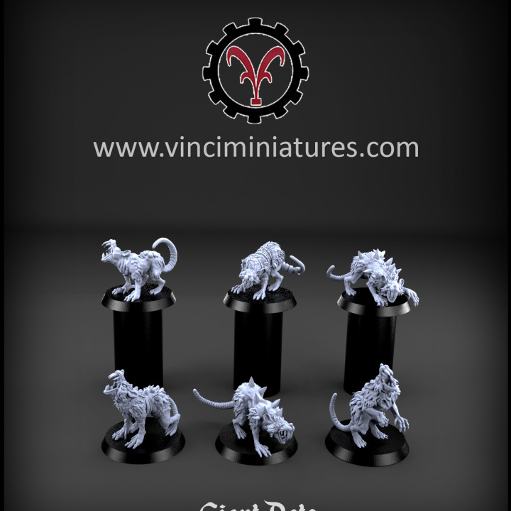 3D Printable GIANT RATS by vinciminiatures