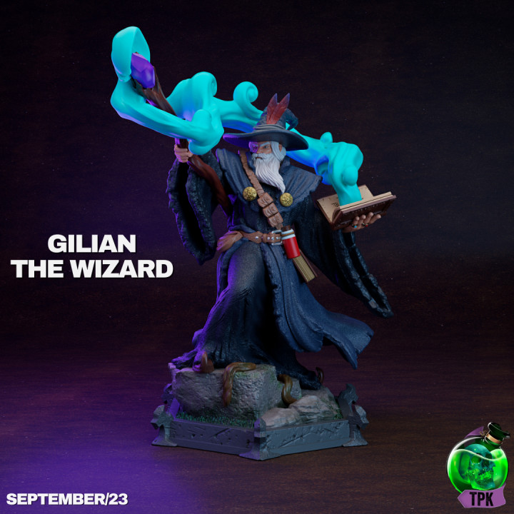 3D Printable Gilian the Wizard by TPK Lab