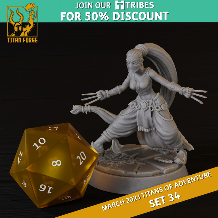 3D Printable Elf Female Rogue - RPG Hero Character D&D 5e - Titans of ...