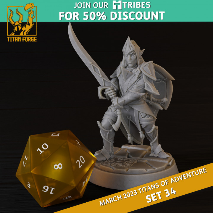 3D Printable Elf Male Fighter - RPG Hero Character D&D 5e - Titans of ...