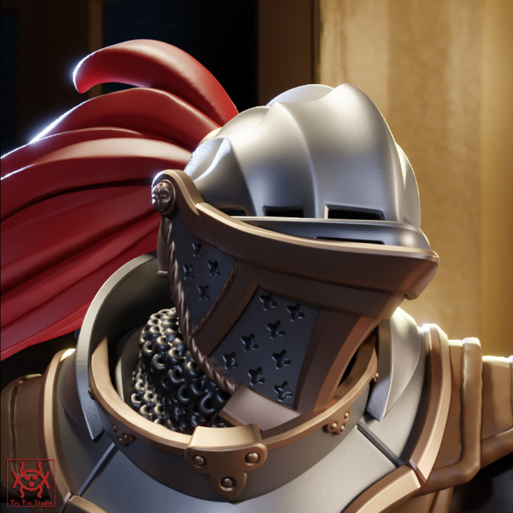 3D Printable Adventurer - Heavy Armored Female Knight by Tri Fin Studio