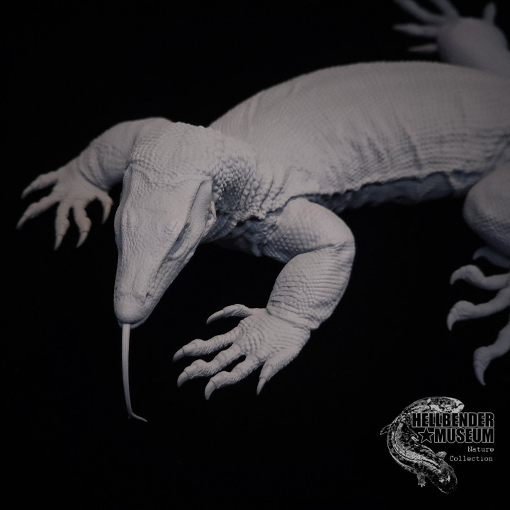 3D Printable Asian Water Monitor Varanus salvator Presupported by ...