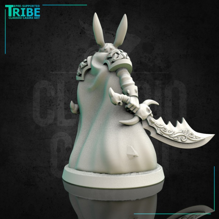3D Printable (0164) Male rabbitfolk warrior with two swords by Claudio ...