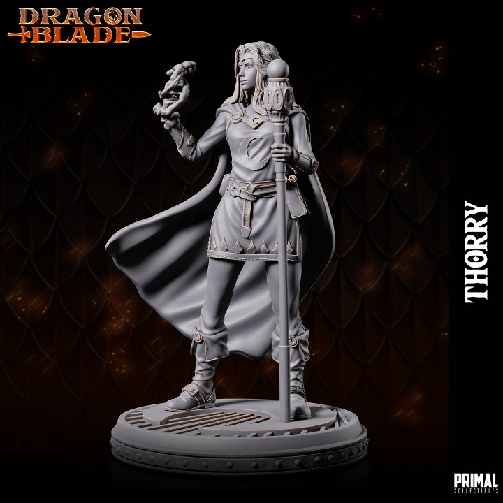 3D Printable Female wizard Thorry - September 2023 - DRAGONBLADE ...