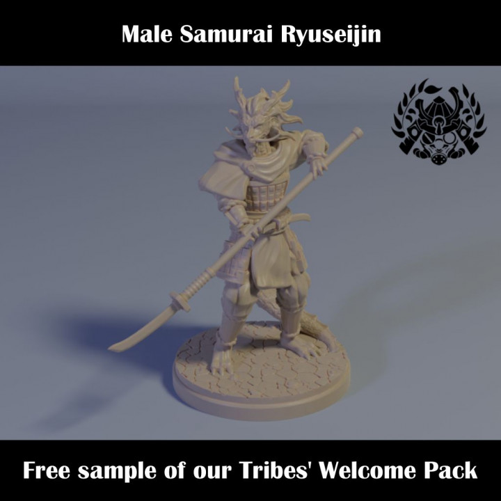 3D Printable Ryuseijin Male Samurai - Free sample by Steam Tatsu