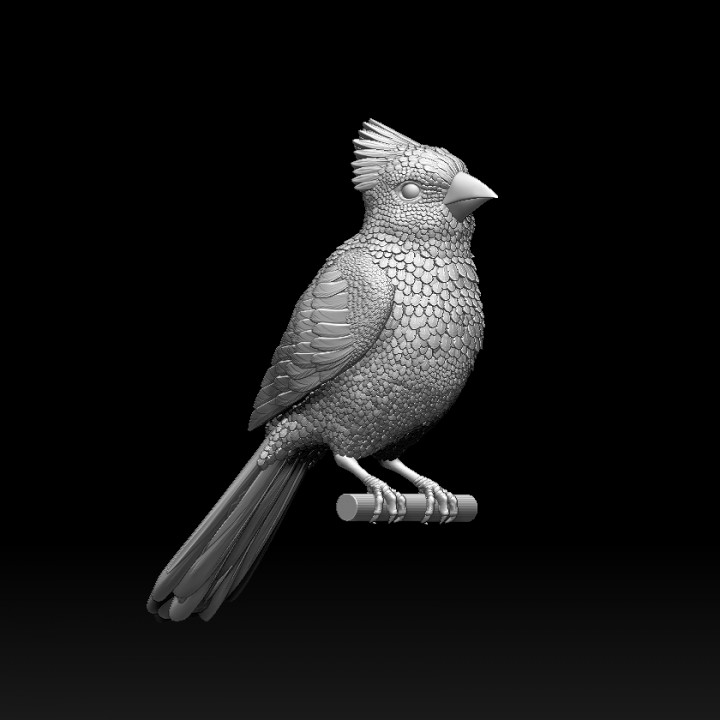 3D Printable bird red cardinal by Dmitry Tishchenkov