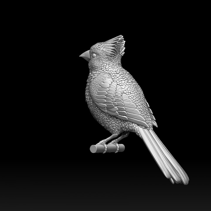 3D Printable bird red cardinal by Dmitry Tishchenkov