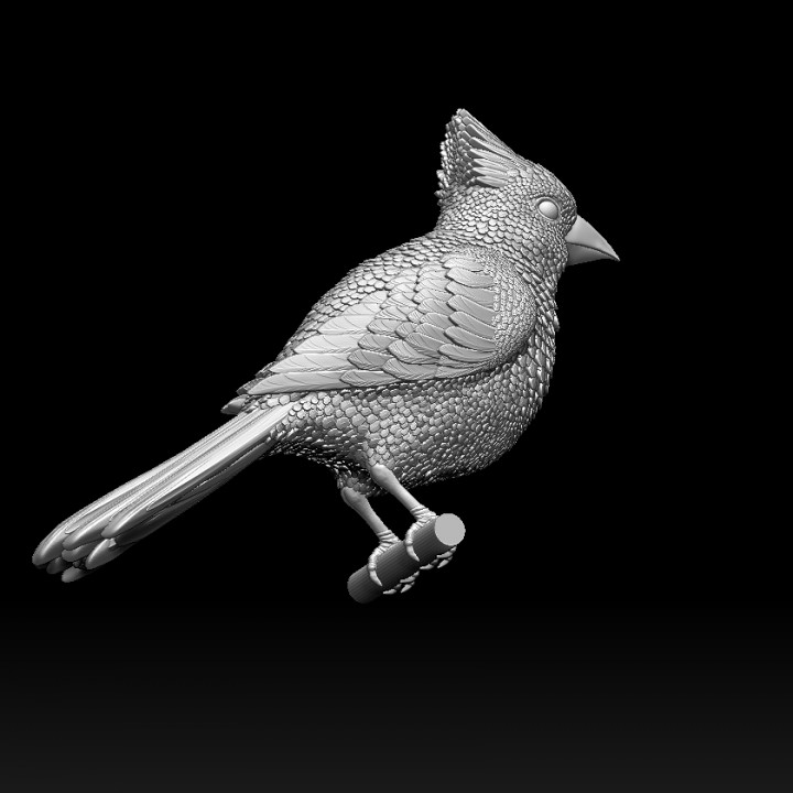 3D Printable bird red cardinal by Dmitry Tishchenkov