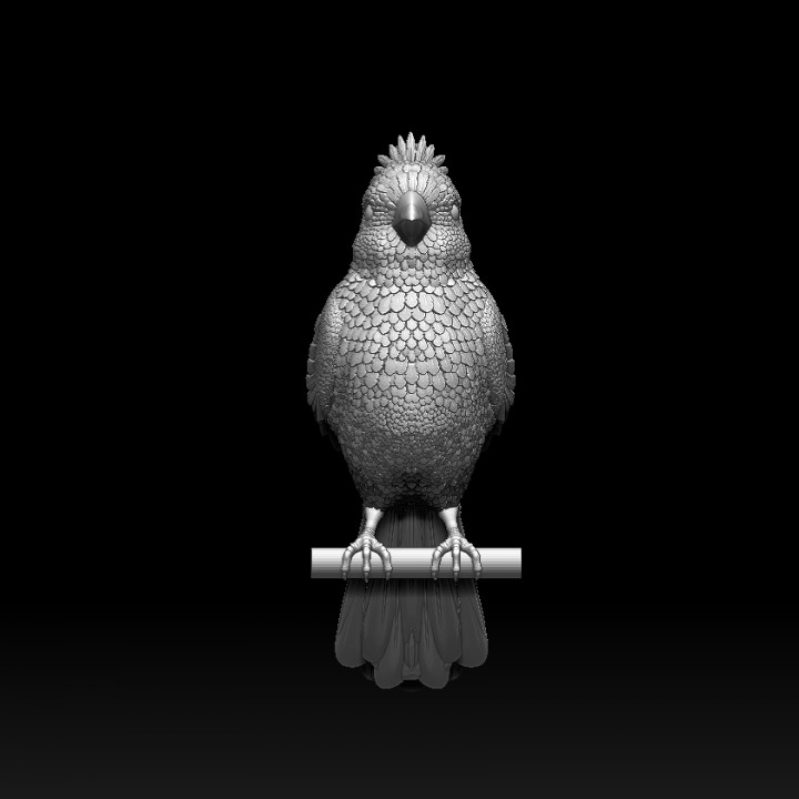 3D Printable bird red cardinal by Dmitry Tishchenkov