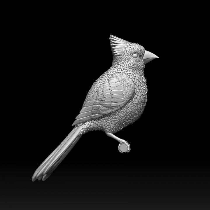3D Printable bird red cardinal by Dmitry Tishchenkov