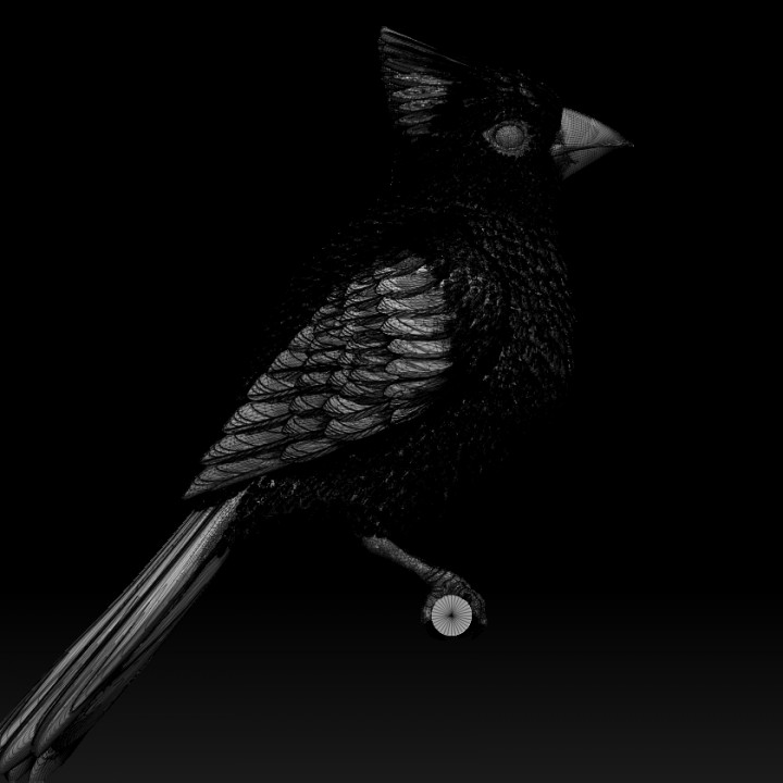 3D Printable bird red cardinal by Dmitry Tishchenkov