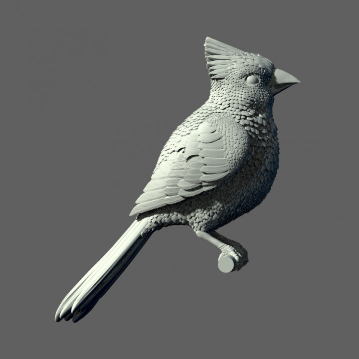 3D Printable bird red cardinal by Dmitry Tishchenkov