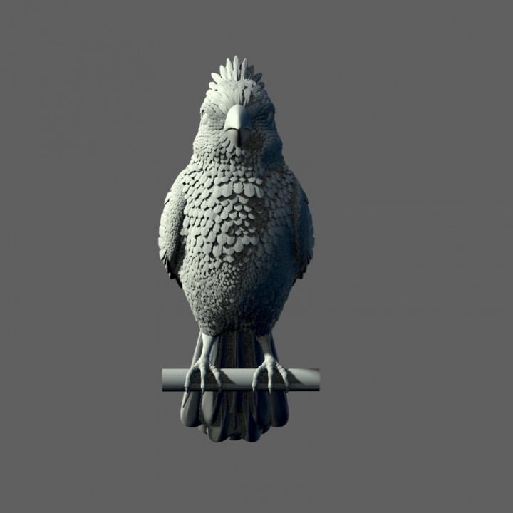 3D Printable bird red cardinal by Dmitry Tishchenkov