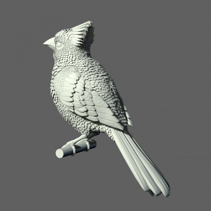 3D Printable bird red cardinal by Dmitry Tishchenkov