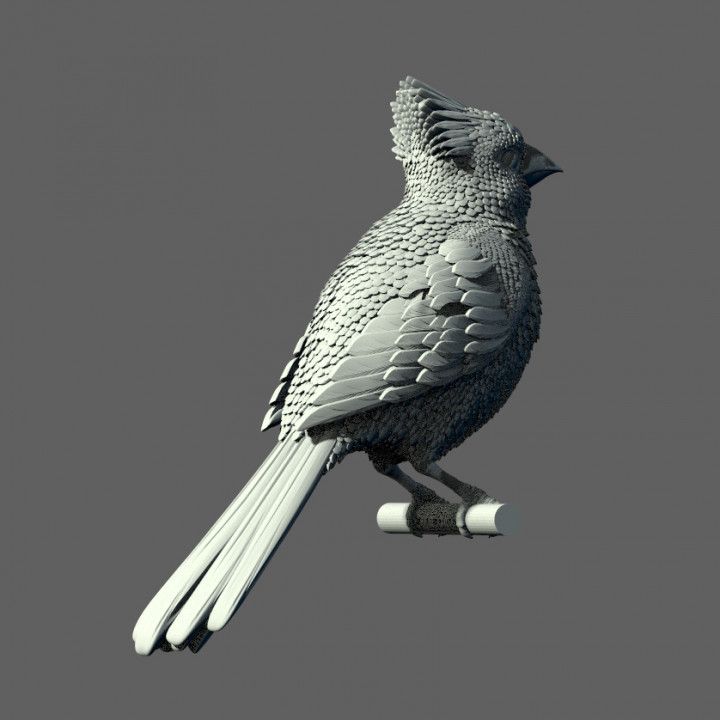 3D Printable bird red cardinal by Dmitry Tishchenkov