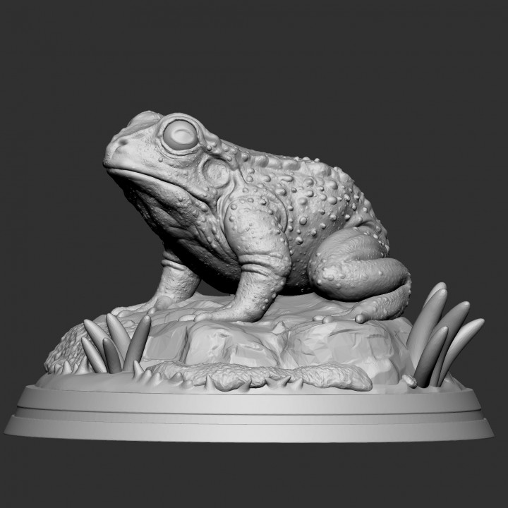 3D Printable Frog by YD STUDIO