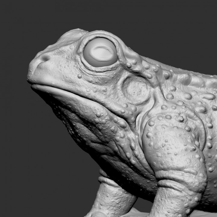 3D Printable Frog by YD STUDIO