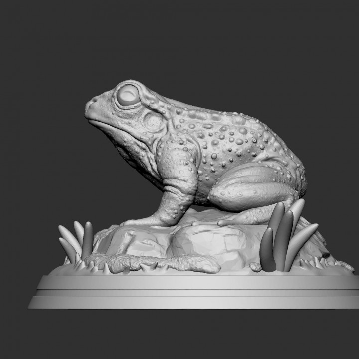 3D Printable Frog by YD STUDIO