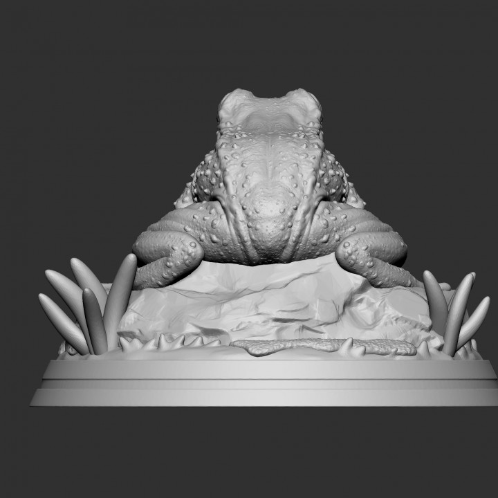 3D Printable Frog by YD STUDIO