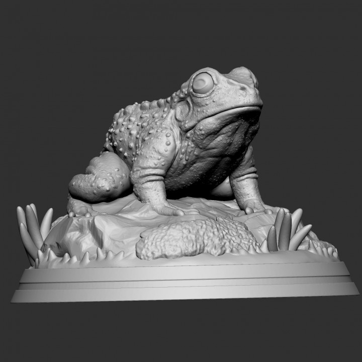 3D Printable Frog by YD STUDIO