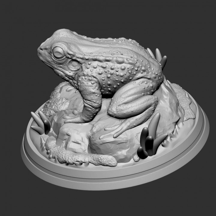 3D Printable Frog by YD STUDIO